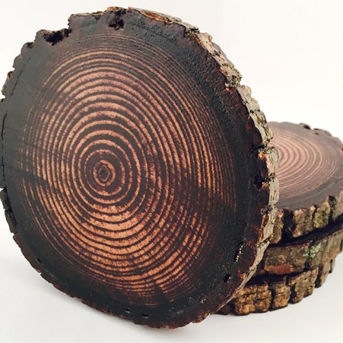 Natural Tree Wood Coasters With Bark & Dark Stain 4-pack - Etsy