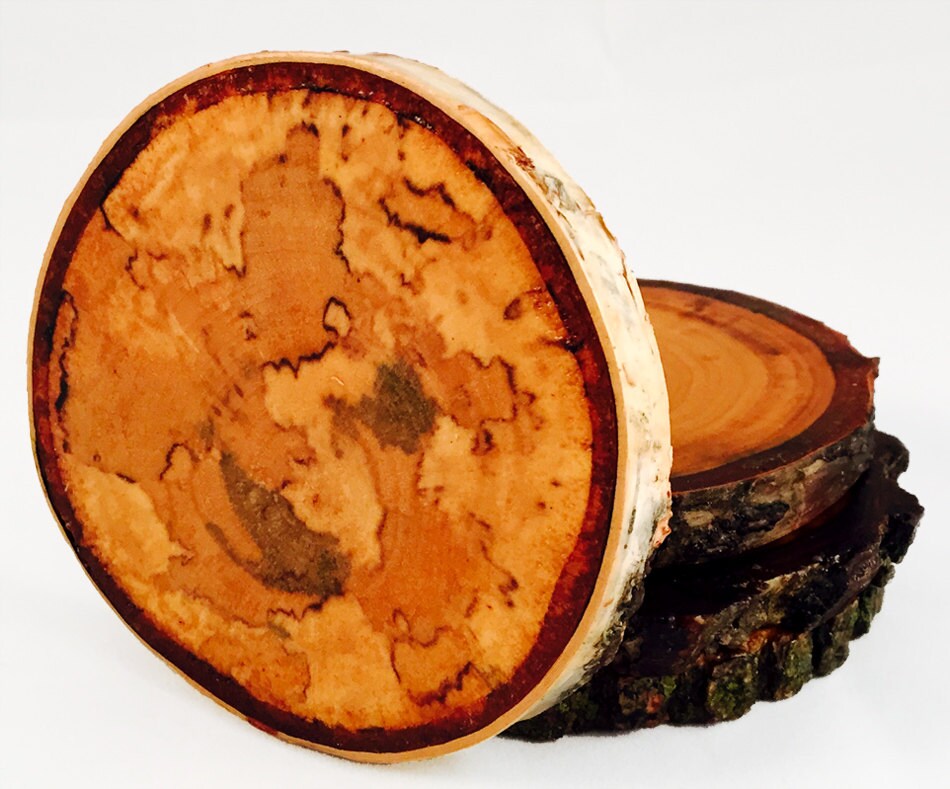 Variety Pack Natural Tree Wood Coasters With Bark 4-pack | Etsy