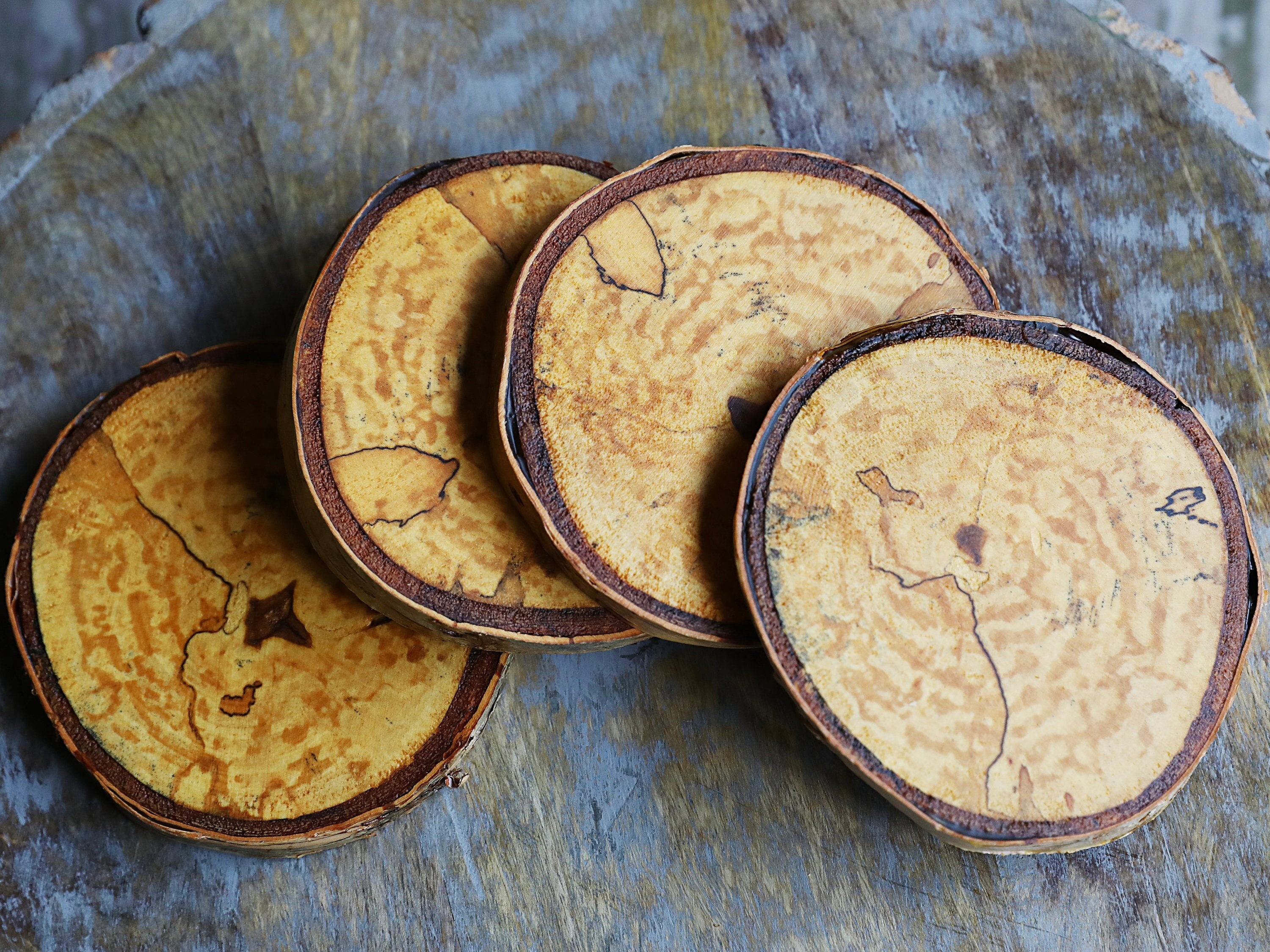 Rare Birch Tree Wood Coasters With Bark 4 or 6 Pack White - Etsy