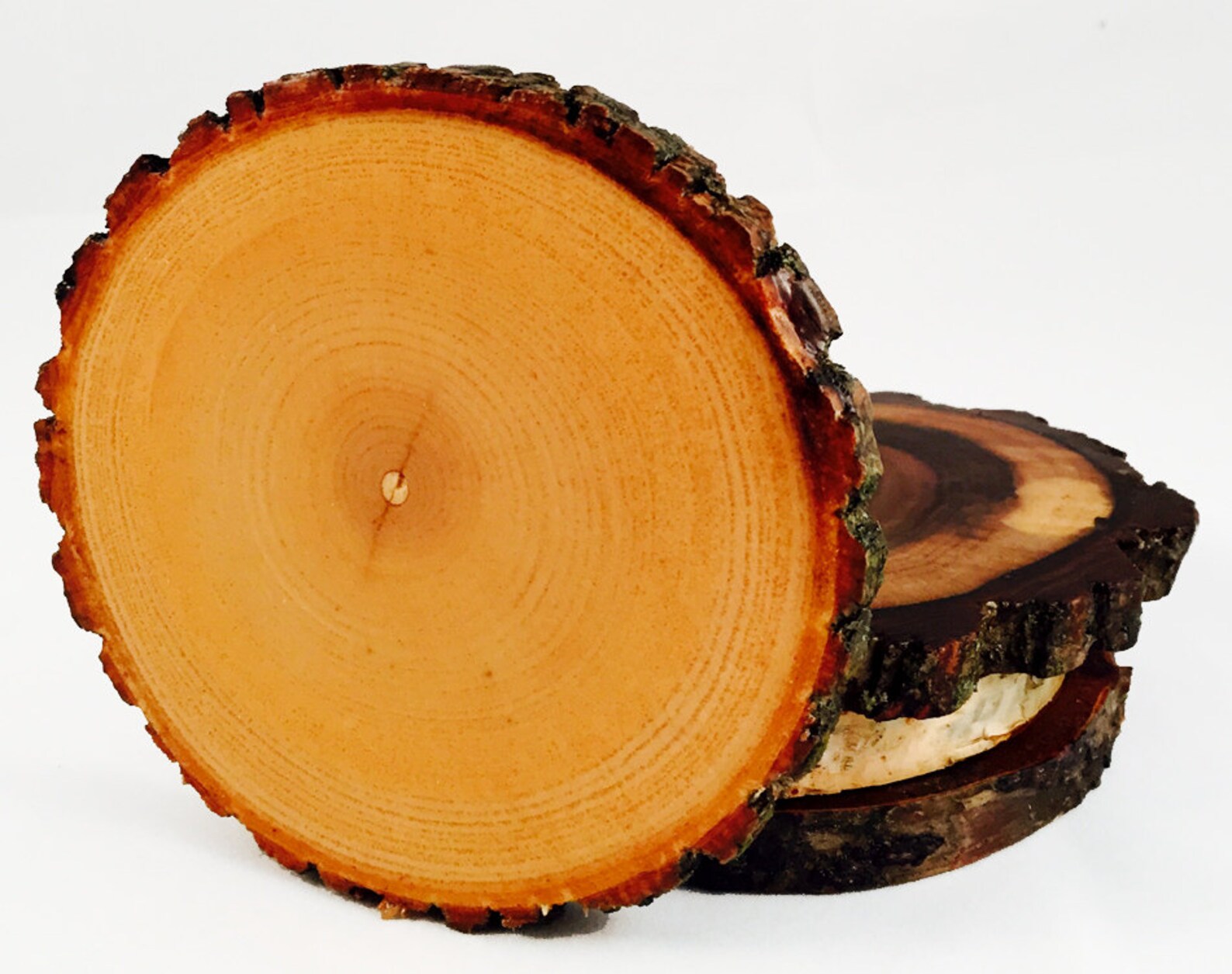 Variety Pack Natural Tree Wood Coasters With Bark 4-pack | Etsy