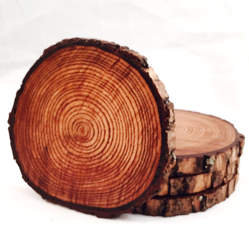 Natural Tree Wood Coasters With Bark & Dark Stain 4-pack - Etsy