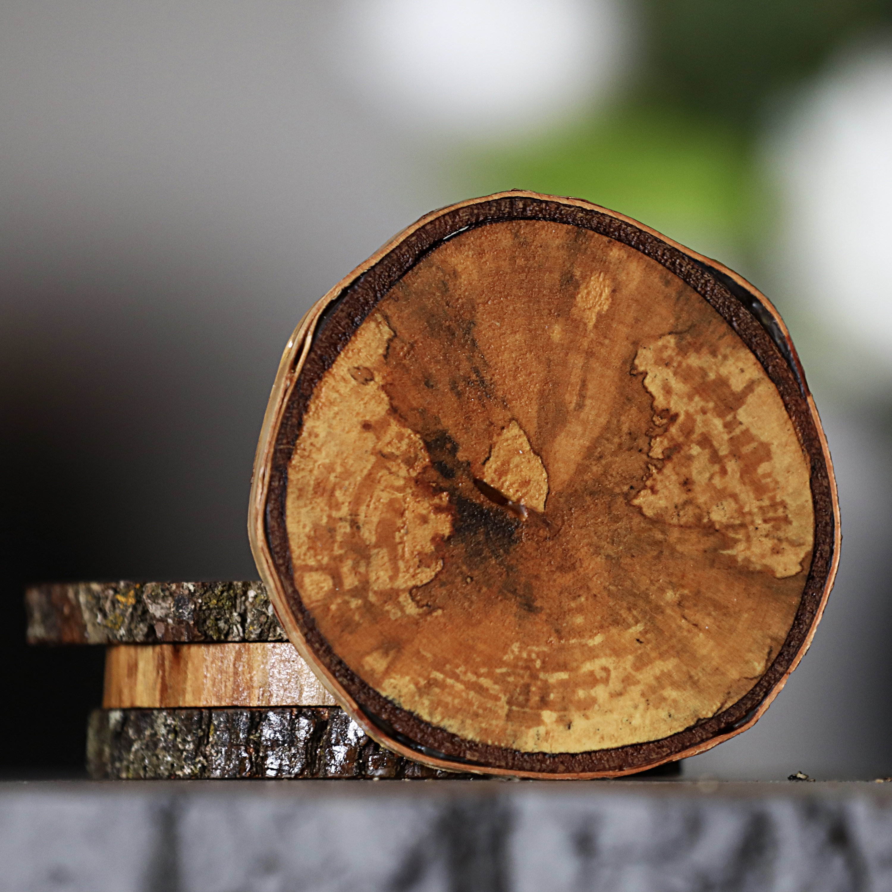 Variety Pack Natural Tree Wood Coasters With Bark 4-pack - Etsy