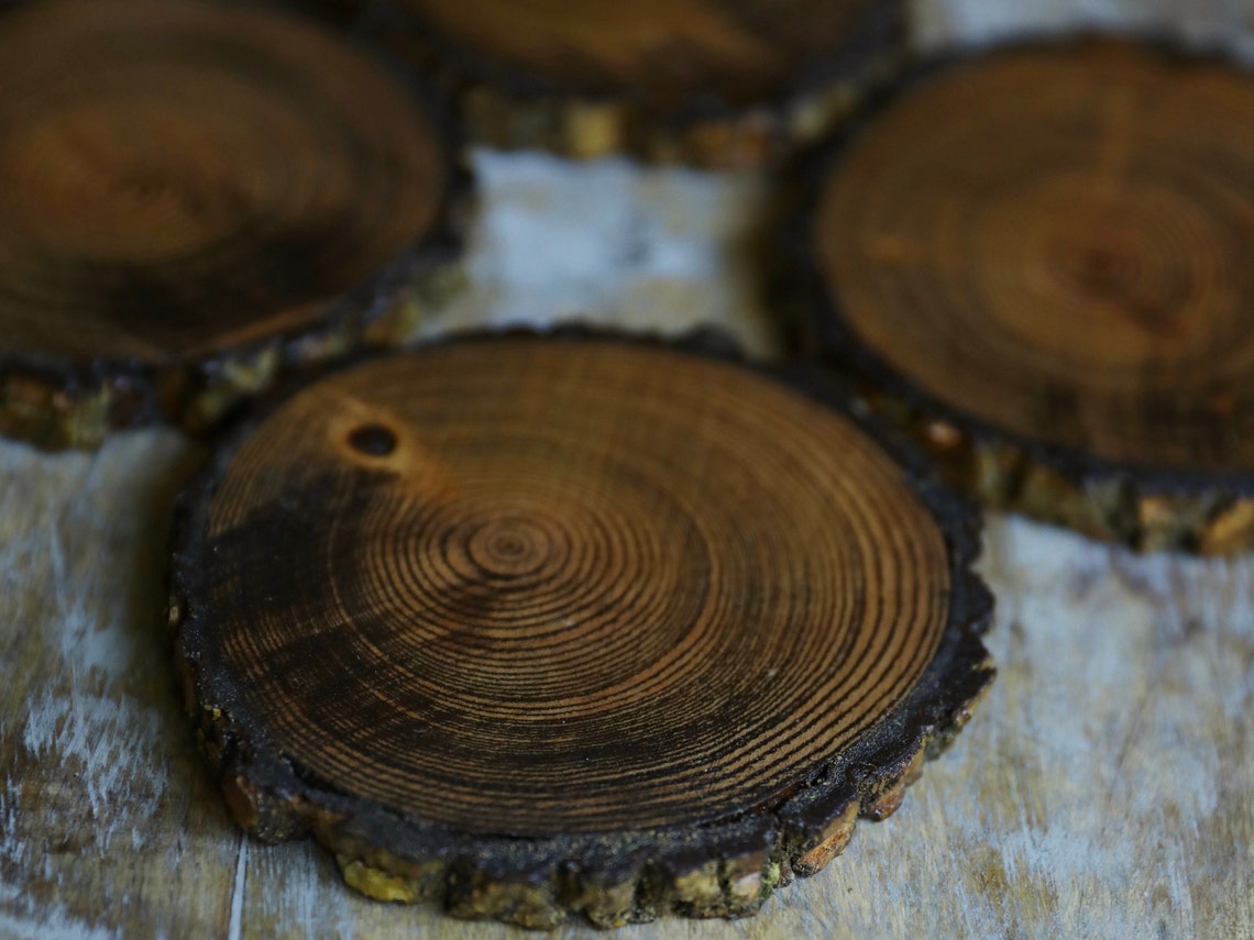 Natural Tree Wood Coasters With Bark & Dark Stain 4-pack - Etsy