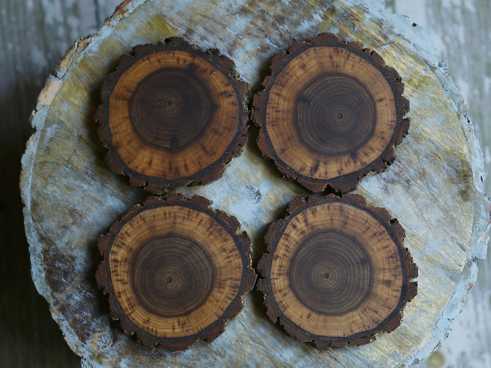 Rare Walnut Tree Wood Coasters With Bark 4-pack - Etsy