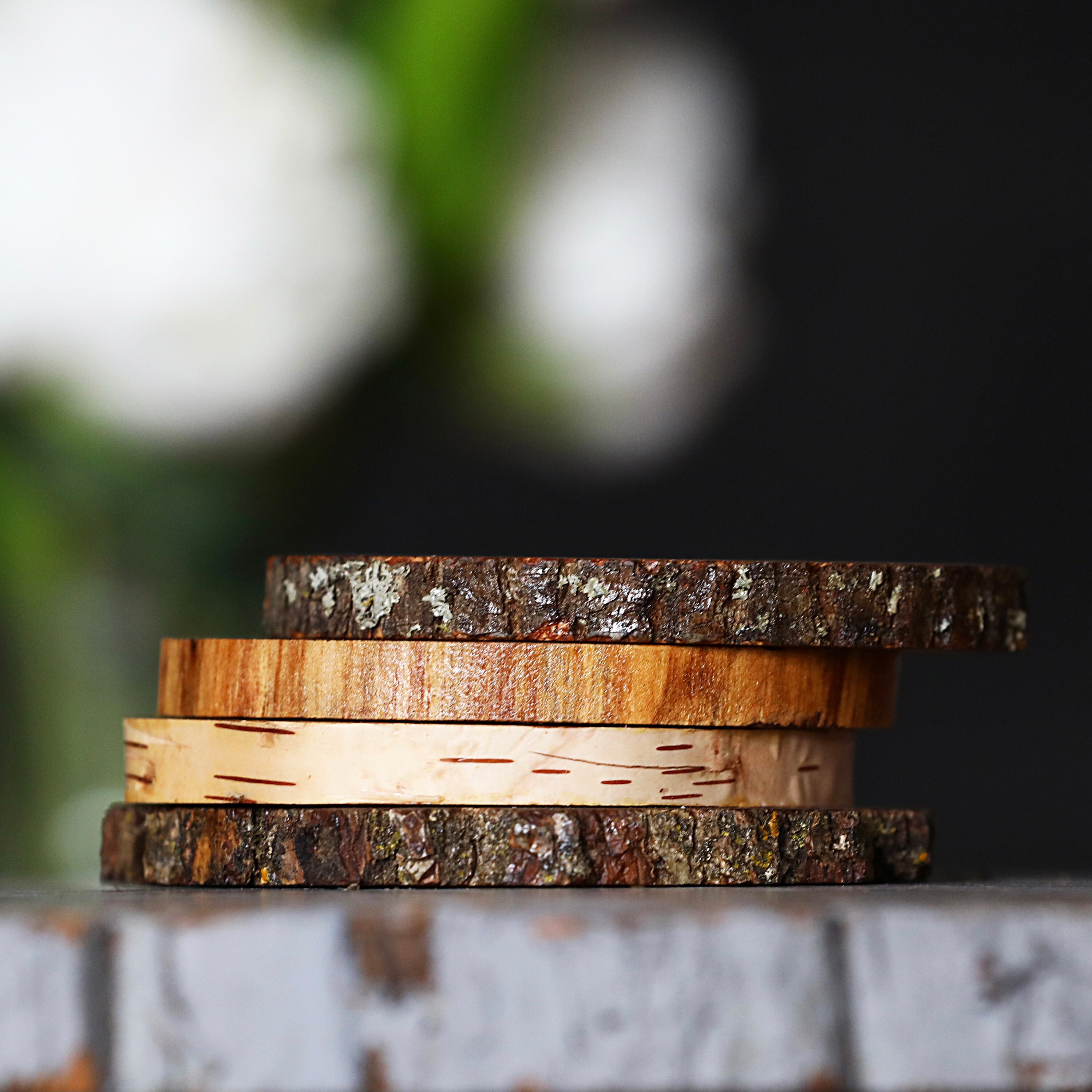 Variety Pack Natural Tree Wood Coasters With Bark 4-pack - Etsy
