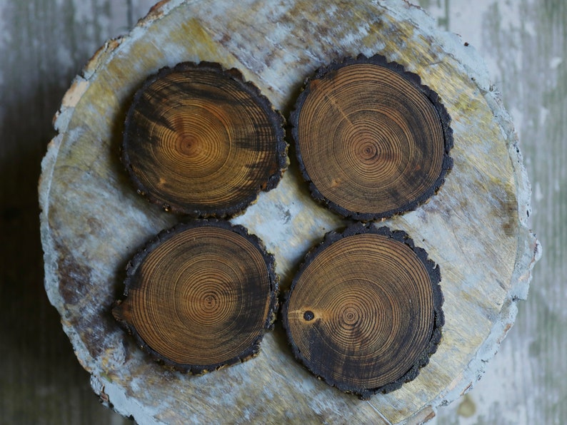 Natural Tree Wood Coasters With Bark & Dark Stain 4-pack - Etsy