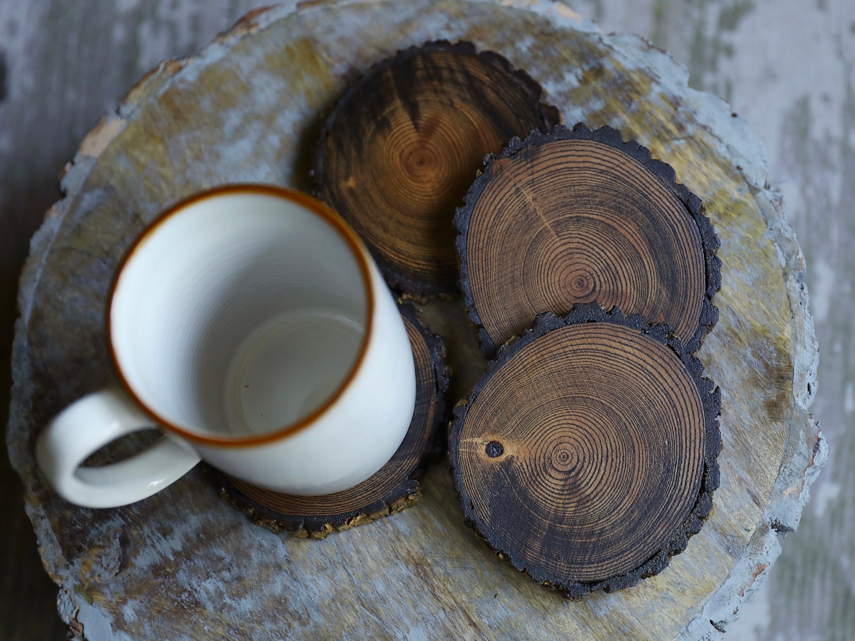 Natural Tree Wood Coasters With Bark & Dark Stain 4-pack - Etsy
