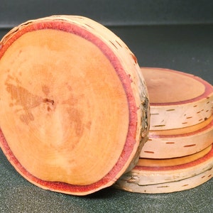 Rare Birch Tree Wood Coasters With Bark 4 or 6 Pack White | Etsy