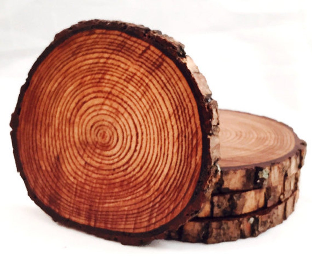 Natural Tree Wood Coasters With Bark & Light Stain (4-pack) - Etsy