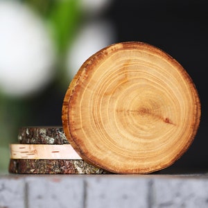Variety Pack Natural Tree Wood Coasters With Bark (4-pack) | Coasters ...