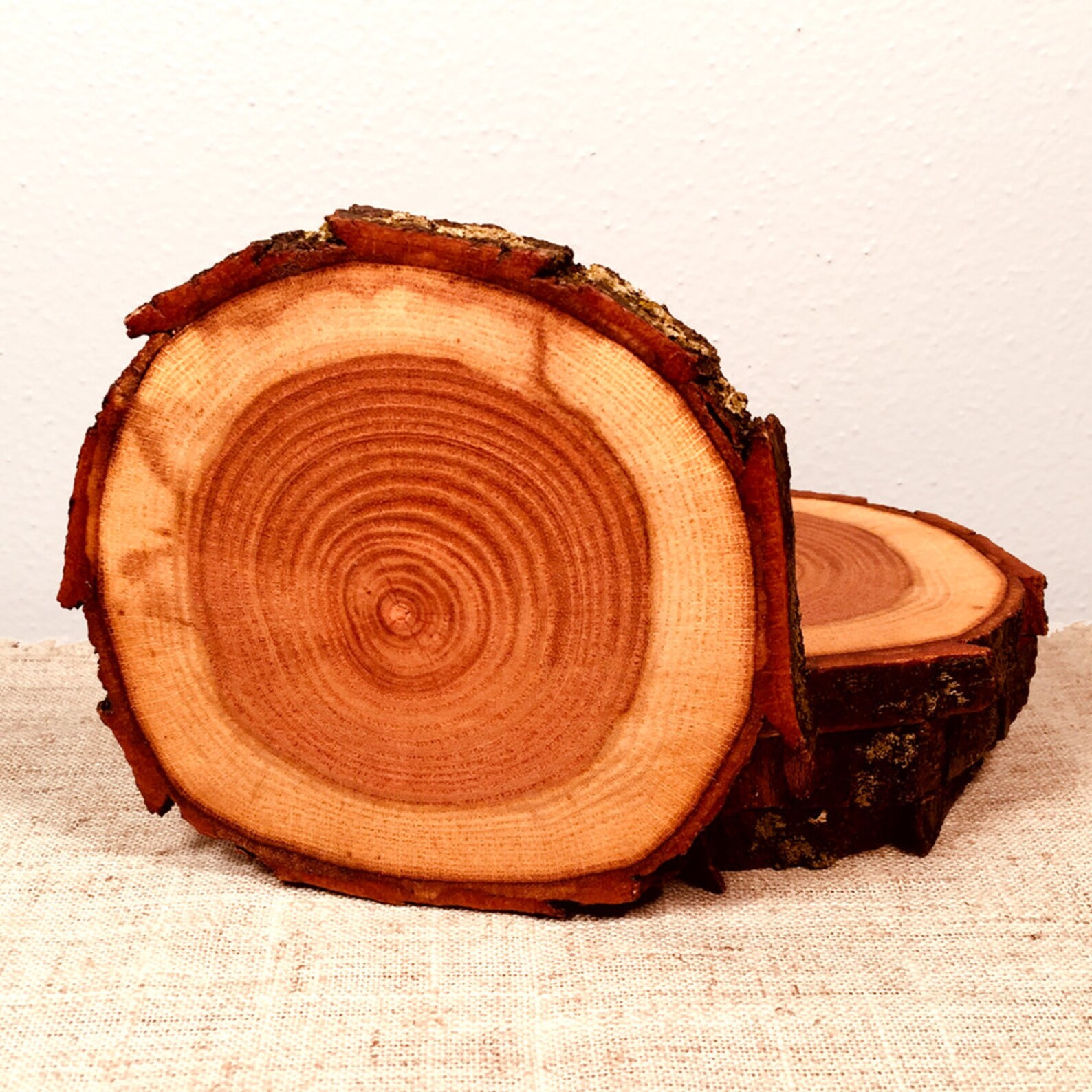 Rare Red Oak Natural Tree Wood Coasters With Bark (4 or 6 Pack), House ...