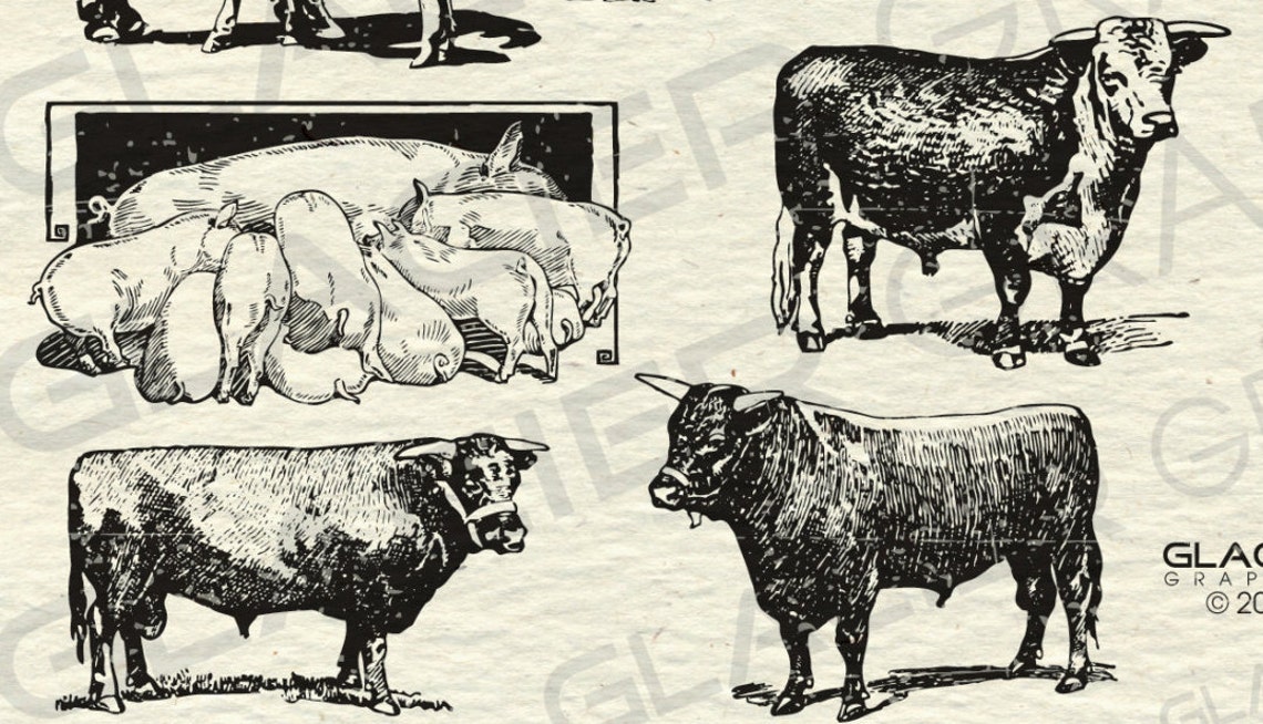 Vintage Farm Animal Illustrations Printable Farm Animals Clipart Farm ...