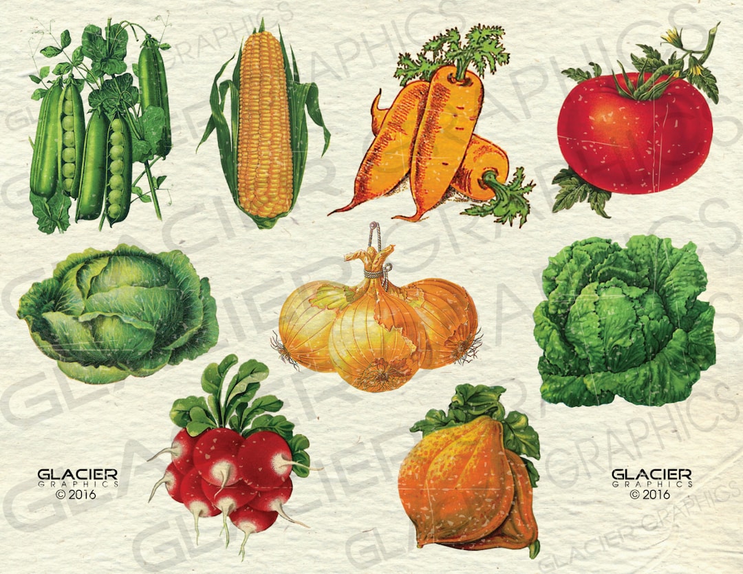 Vintage Farm Vegetable Seed Packet Illustrations Color Clipart ...
