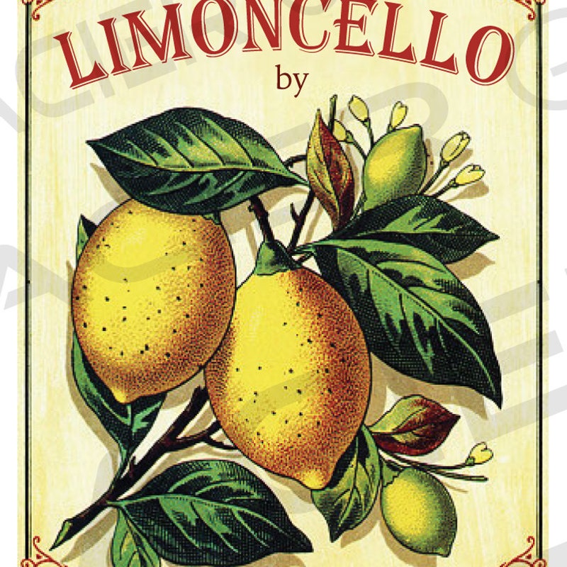 Limoncello Labels - Etsy