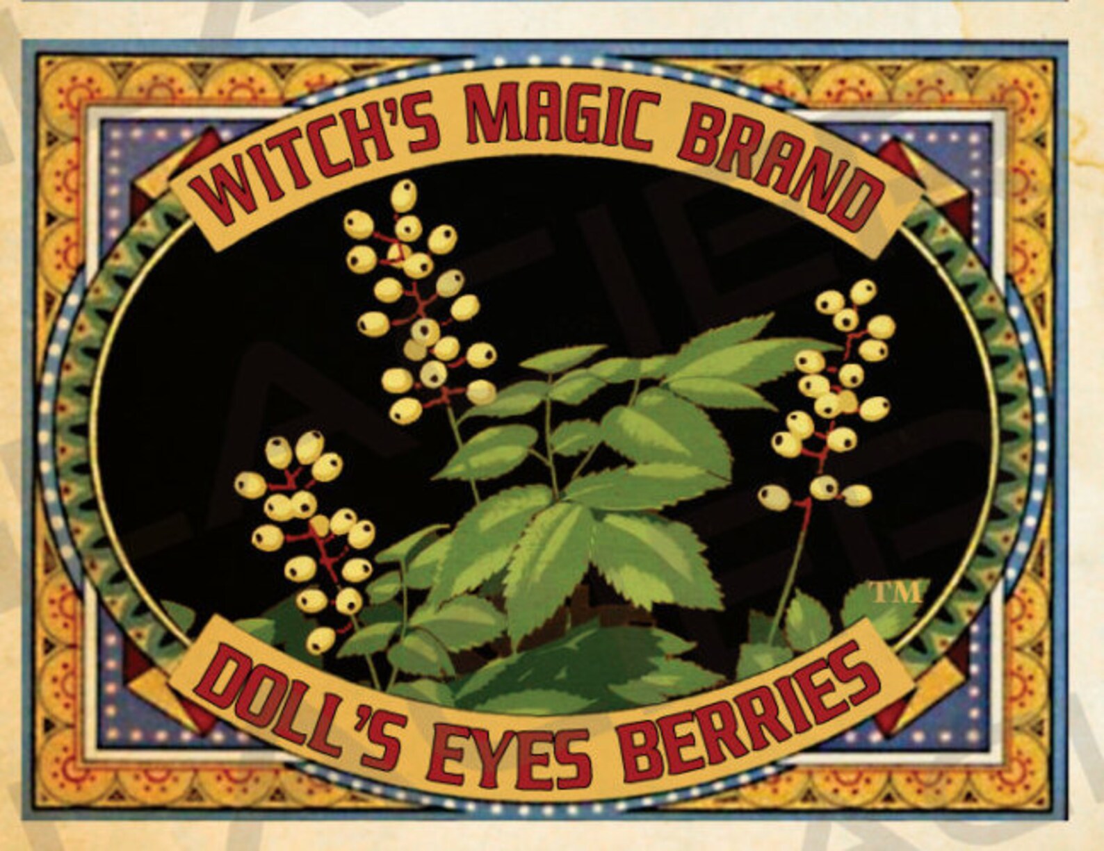 Halloween Witch Labels Vintage Poison Jar Labels Poison | Etsy