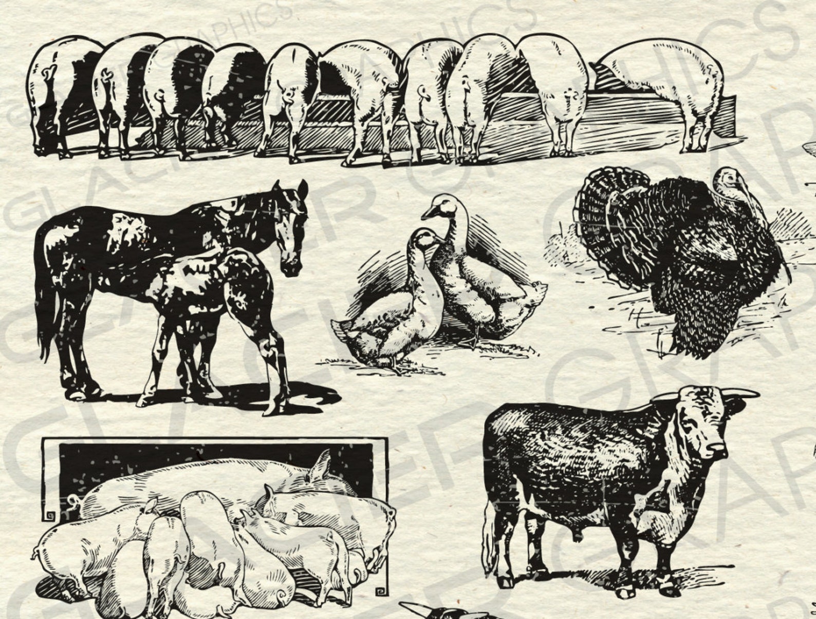 Vintage Farm Animal Illustrations Printable Farm Animals Clipart Farm ...