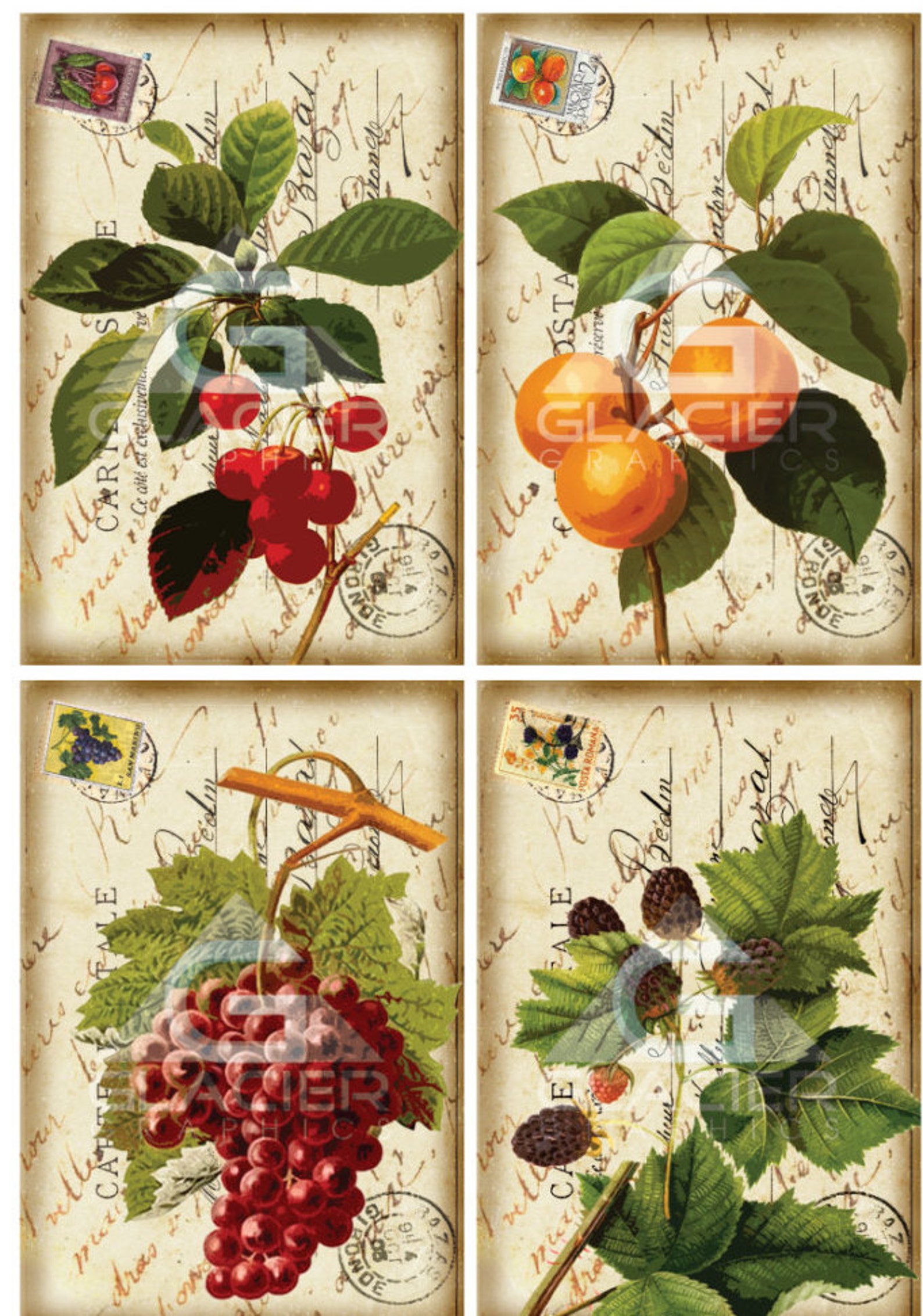 Vintage Fruit Postcard Collage Sheet Digital Download Fruit Scrapbook ...