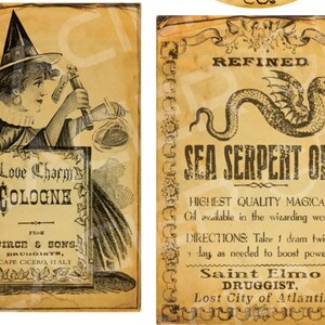 Halloween Witch Poison Bottle Labels Halloween Witch Potion Bottle Tags ...