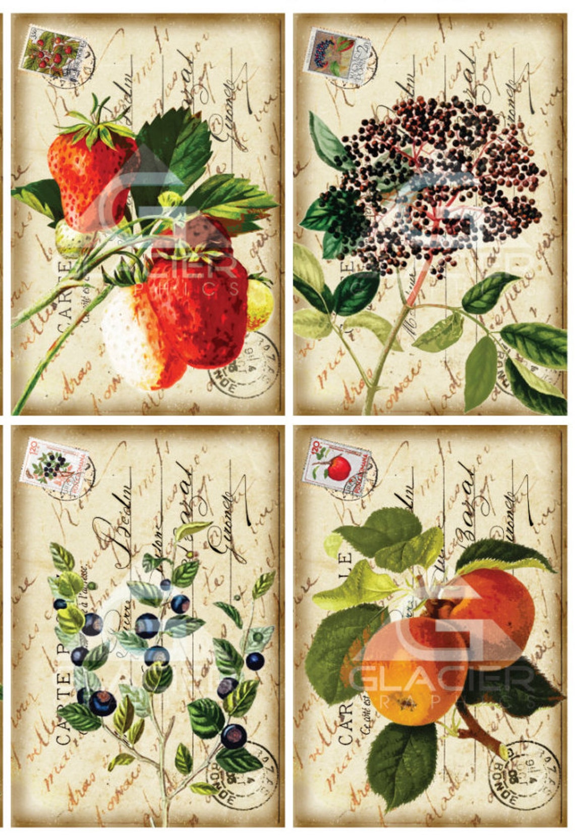 Vintage Fruit Postcard Collage Sheet Digital Download Fruit | Etsy