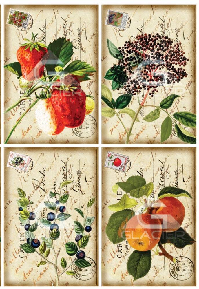 Vintage Fruit Postcard Collage Sheet Digital Download Fruit Scrapbook ...