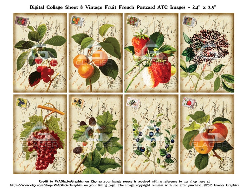 Vintage Fruit Postcard Collage Sheet Digital Download Fruit Scrapbook ...