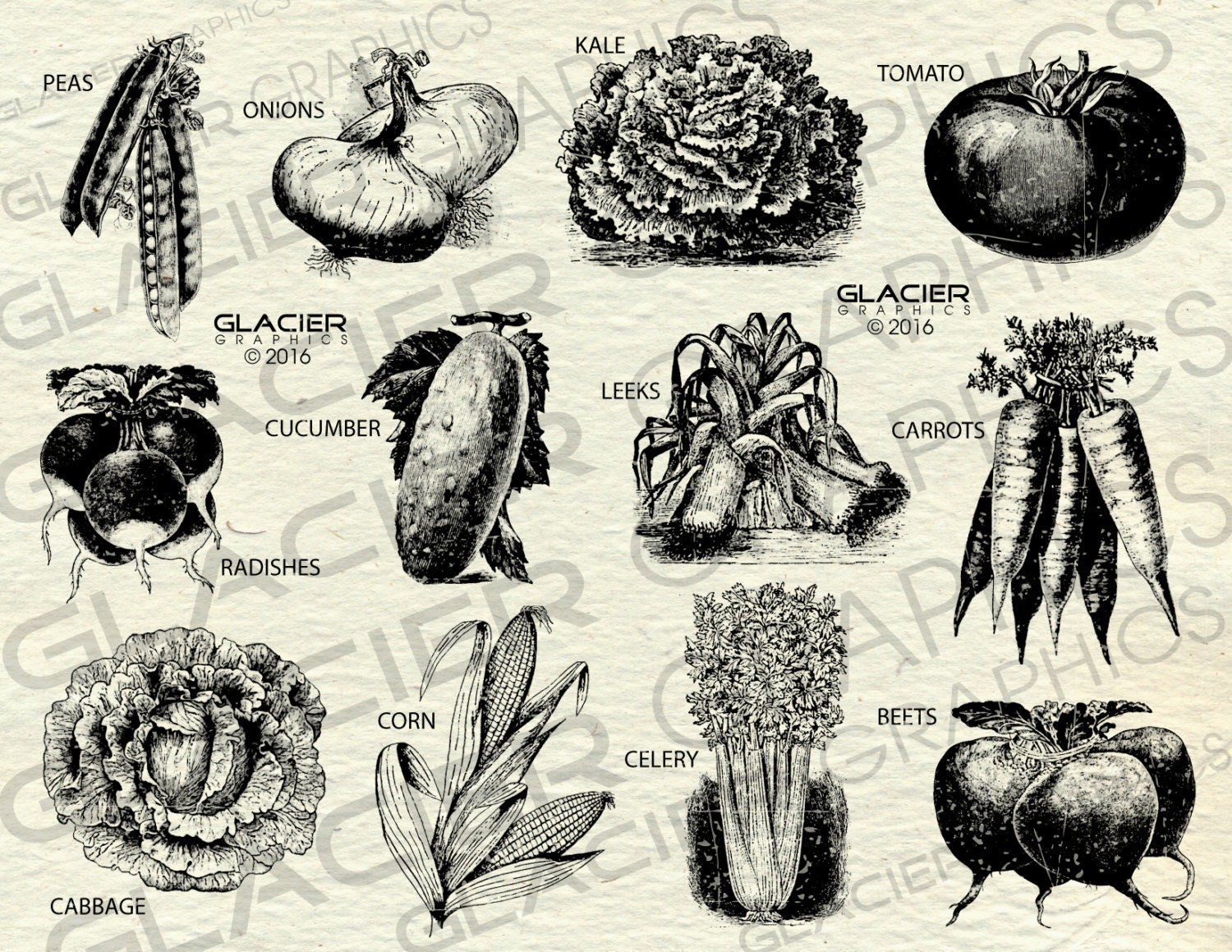 Vintage Vegetable Clip Art
