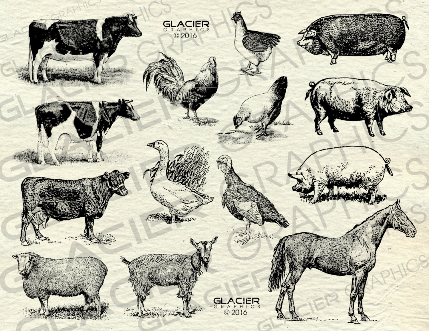 Vintage Farm Animal Illustrations Printable Farm Animals | Etsy