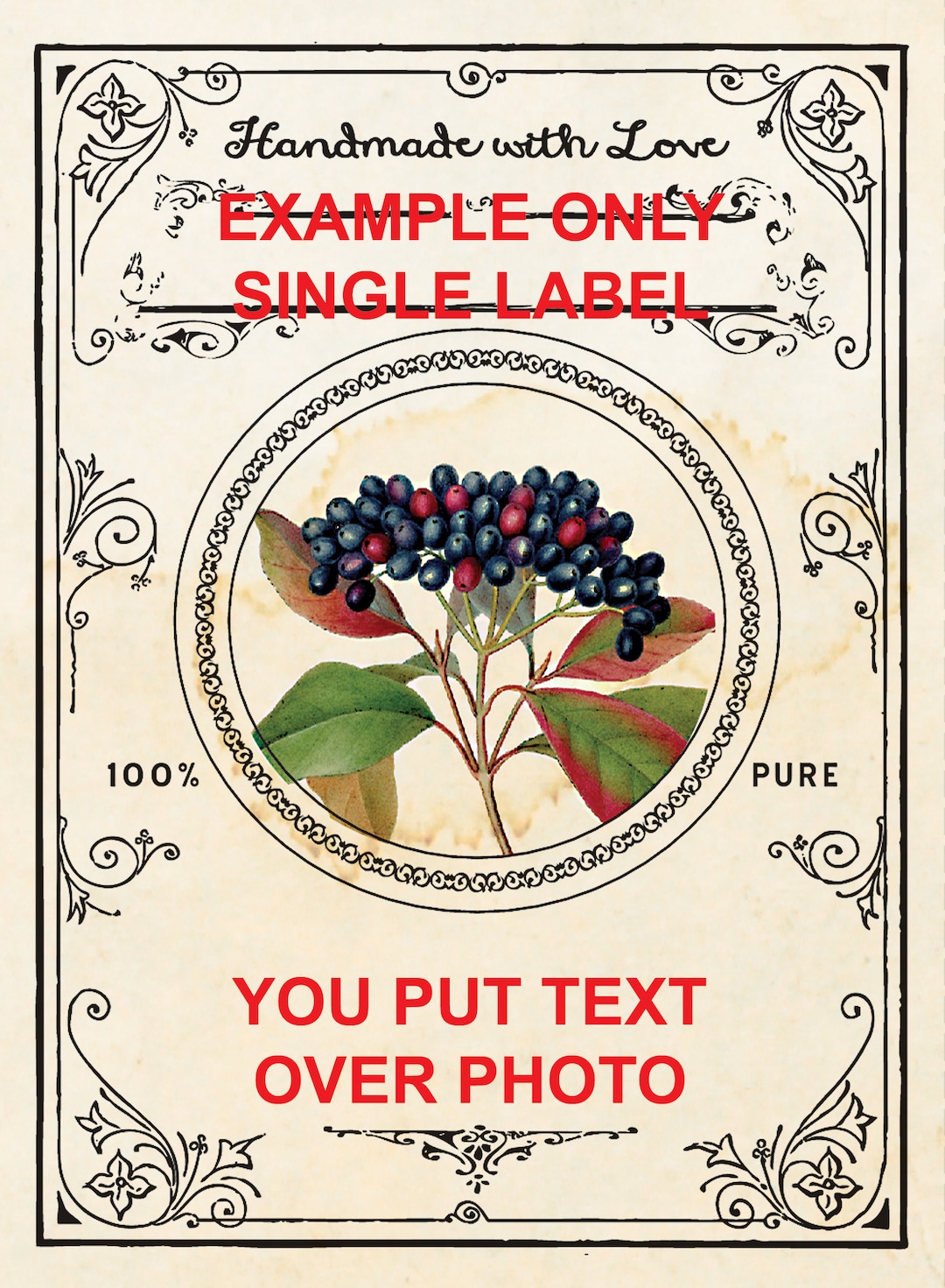 You Edit You Print Elderberry Label Edlderberry Label Elderberry Labels ...
