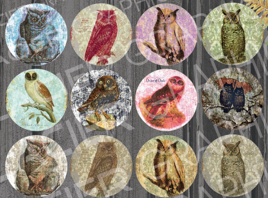Owl Charm 1.5" Round Digital Collage Sheet Printable Round Images for ...