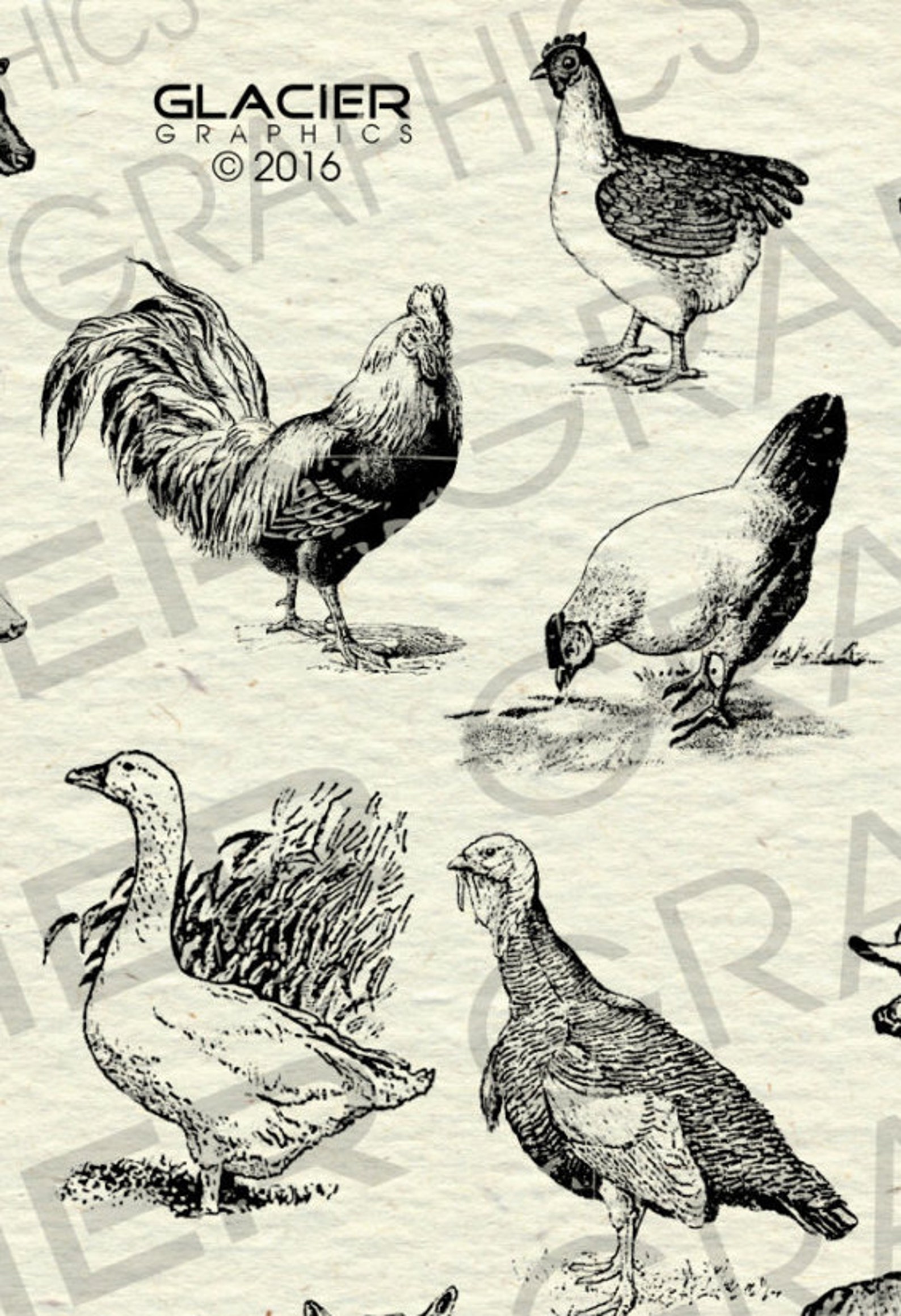 Vintage Farm Animal Illustrations Printable Farm Animals - Etsy