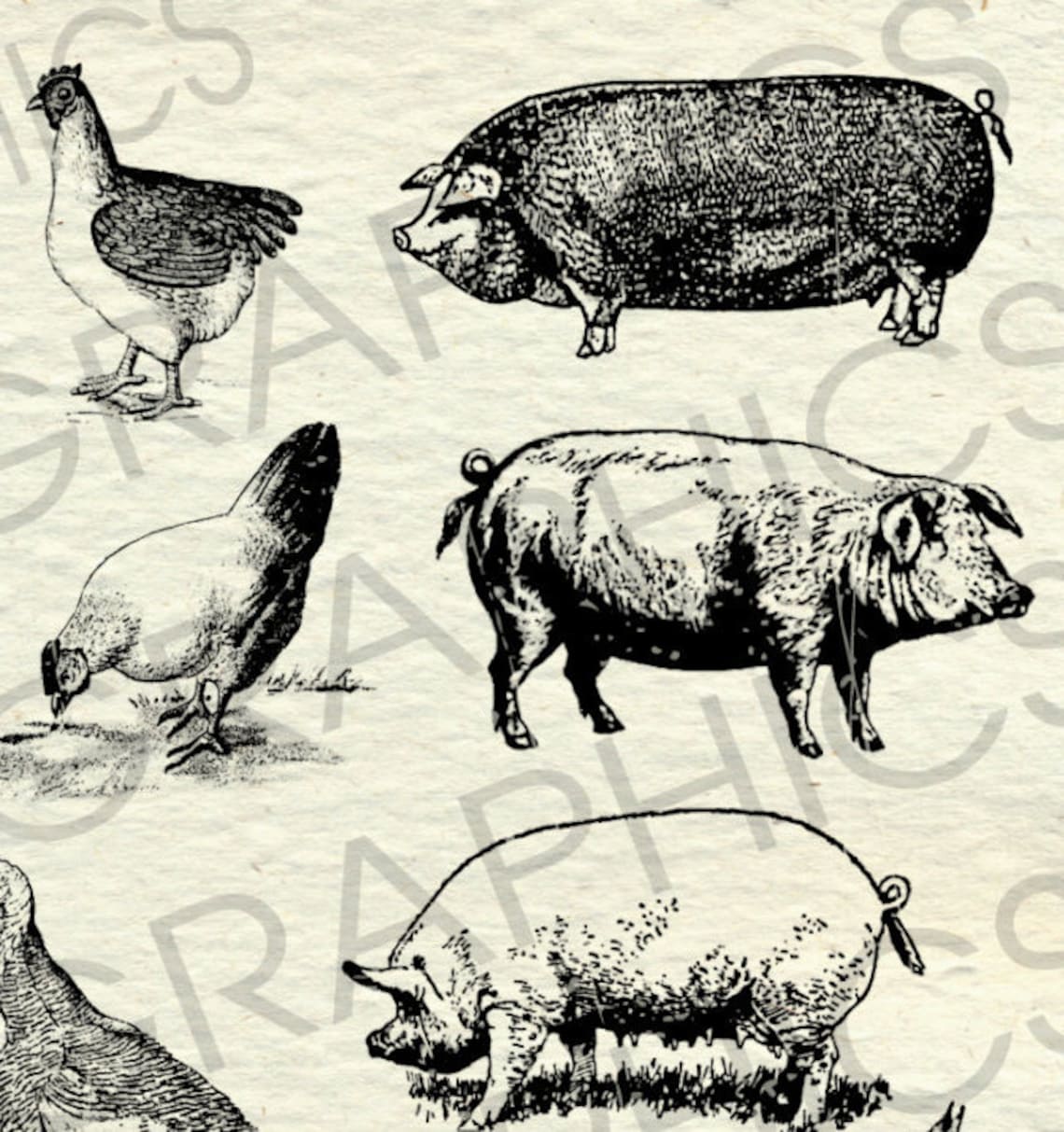 Vintage Farm Animal Illustrations Printable Farm Animals - Etsy
