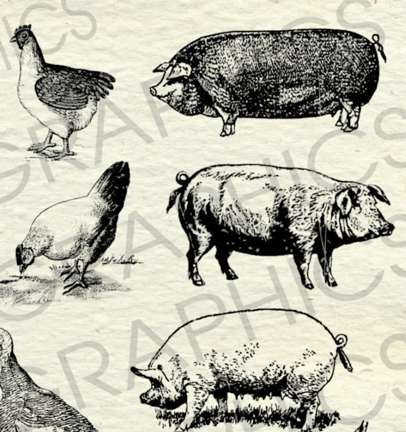 Vintage Farm Animal Illustrations Printable Farm Animals - Etsy