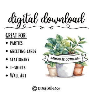 Potted Plants Clipart, Floral, Flowers, Greenery, Botanical, Indoor ...