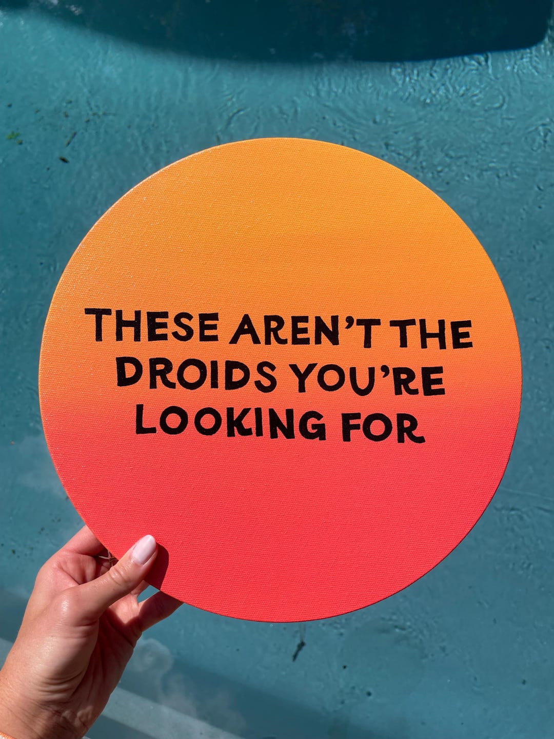 These Arent the Droids Youre Looking for Canvas Sign - Etsy