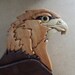Red-tailed Hawk Wood Intarsia Scroll Saw Art Wall Hanging | Etsy