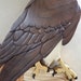 Red-tailed Hawk Wood Intarsia Scroll Saw Art Wall Hanging | Etsy