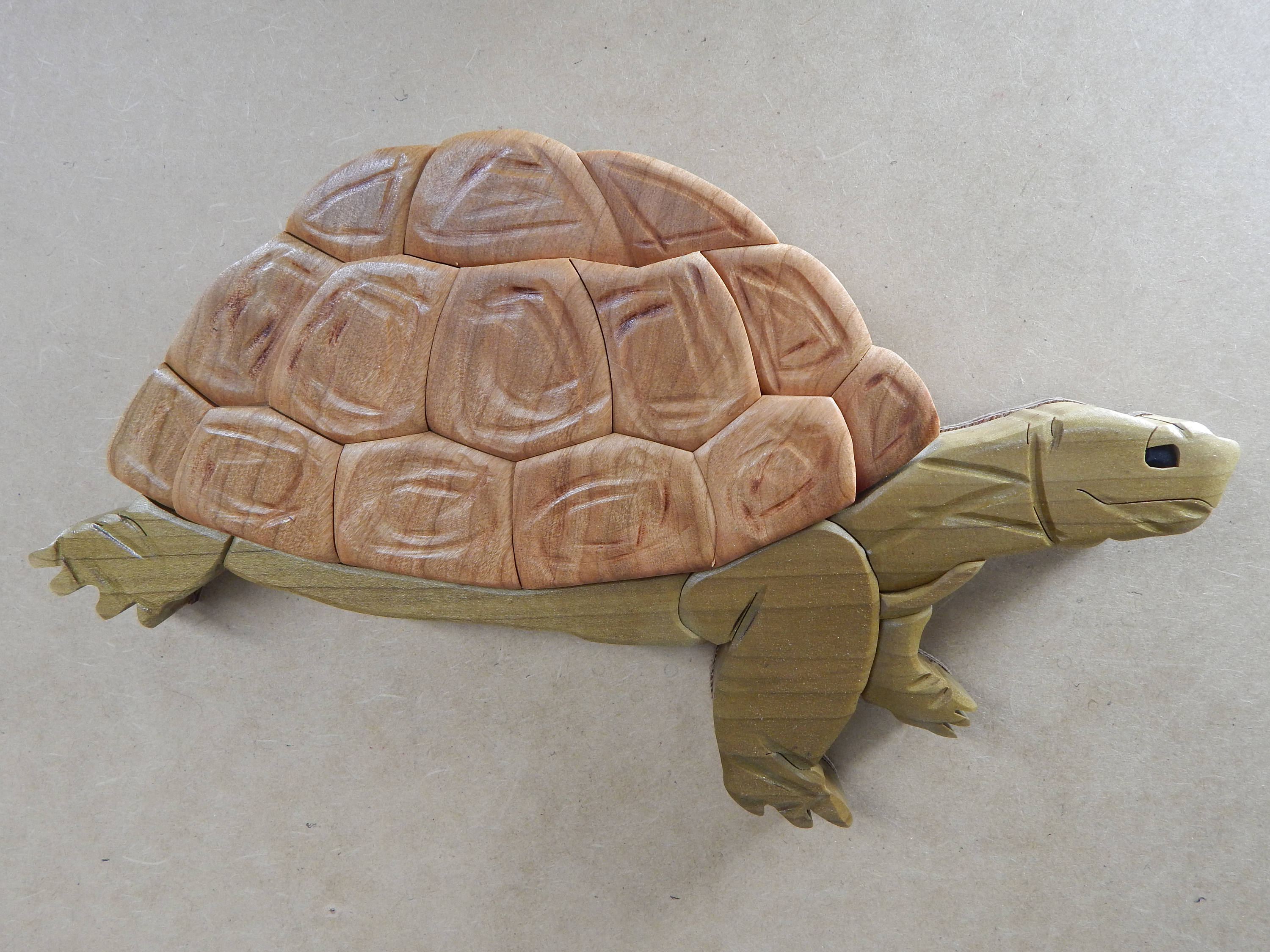 Tortoise Turtle Wood Intarsia Wall Hanging Handcrafted | Etsy