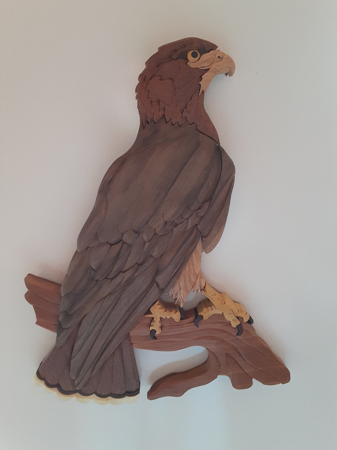 Red-tailed Hawk Wood Intarsia Scroll Saw Art Wall Hanging - Etsy