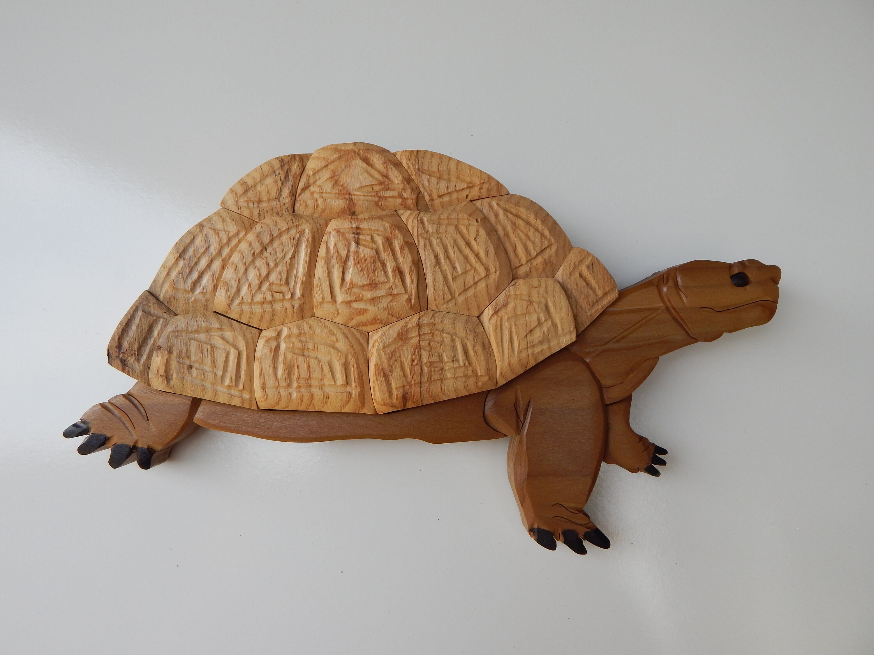 Tortoise, Turtle, Wood Intarsia Wall Hanging Handcrafted Scroll Saw Art ...