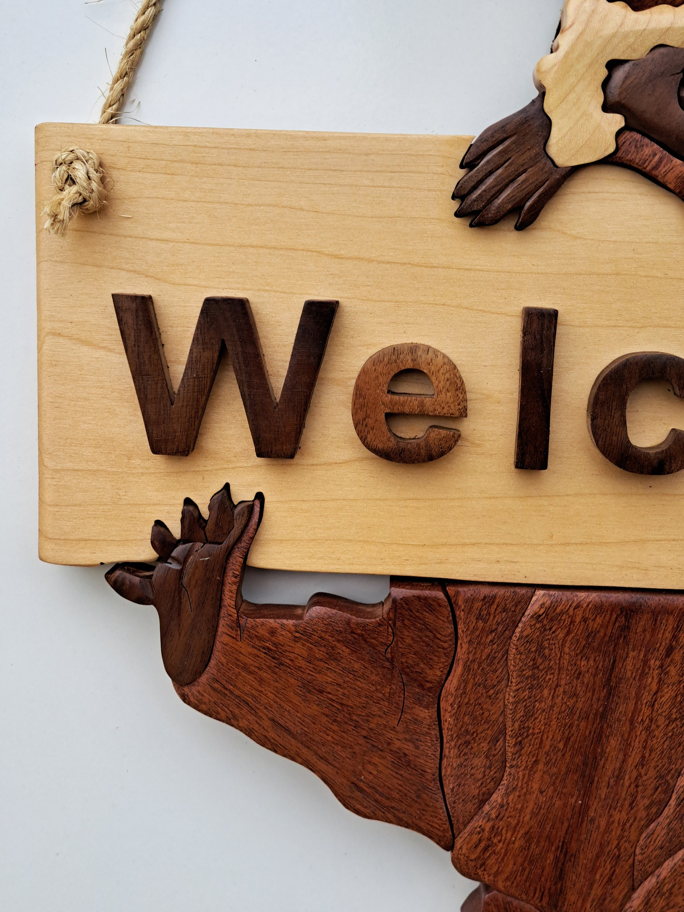 Raccoon Sign, Wood Intarsia Wall Hanging Handcrafted Scroll Saw Art - Etsy