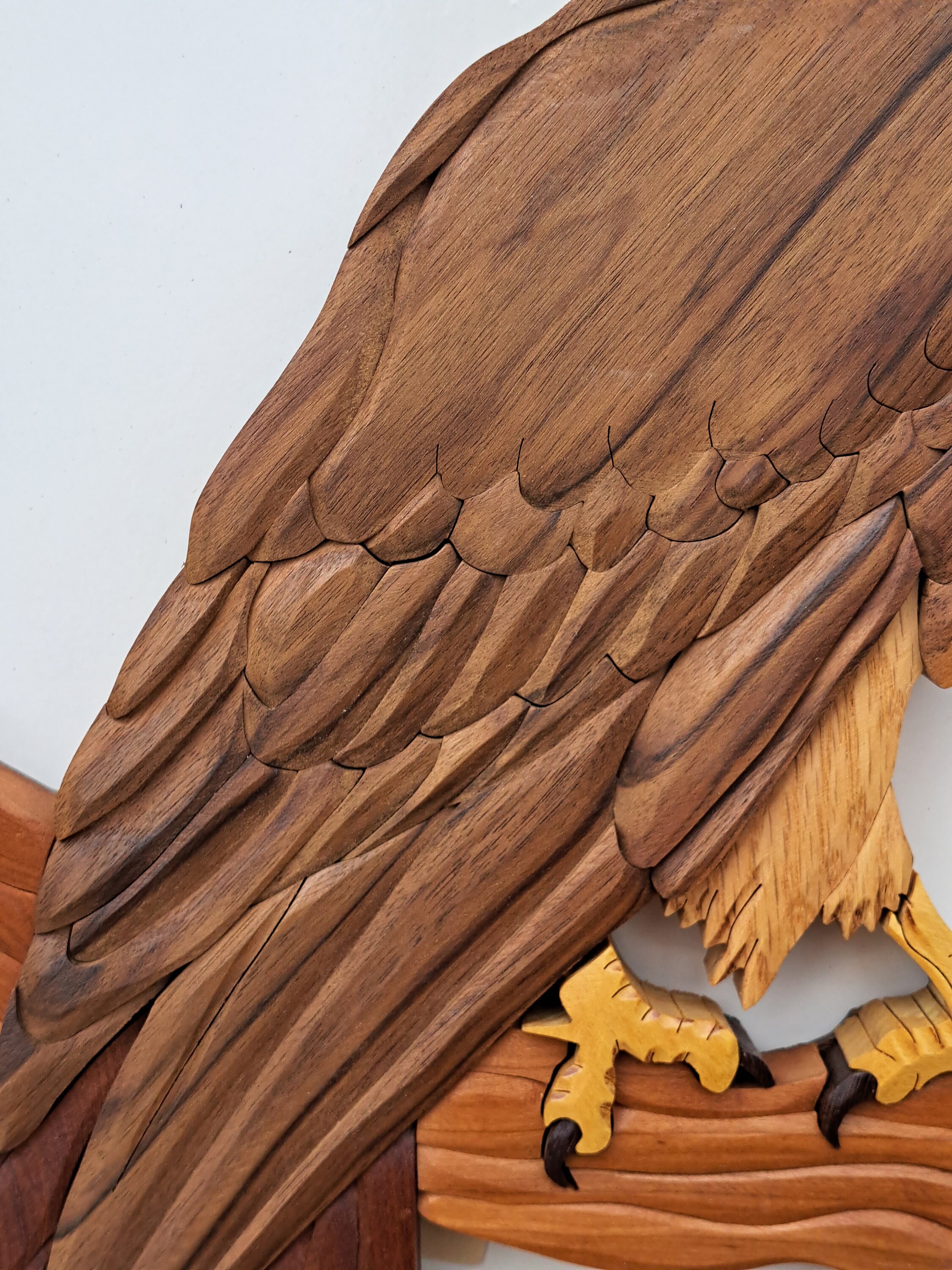 Red-tailed Hawk Wood Intarsia Scroll Saw Art Wall Hanging - Etsy