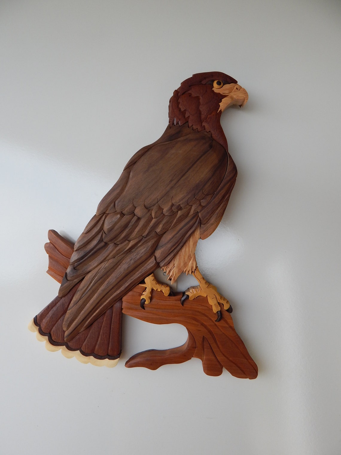 Red-tailed Hawk Wood Intarsia Scroll Saw Art Wall Hanging - Etsy