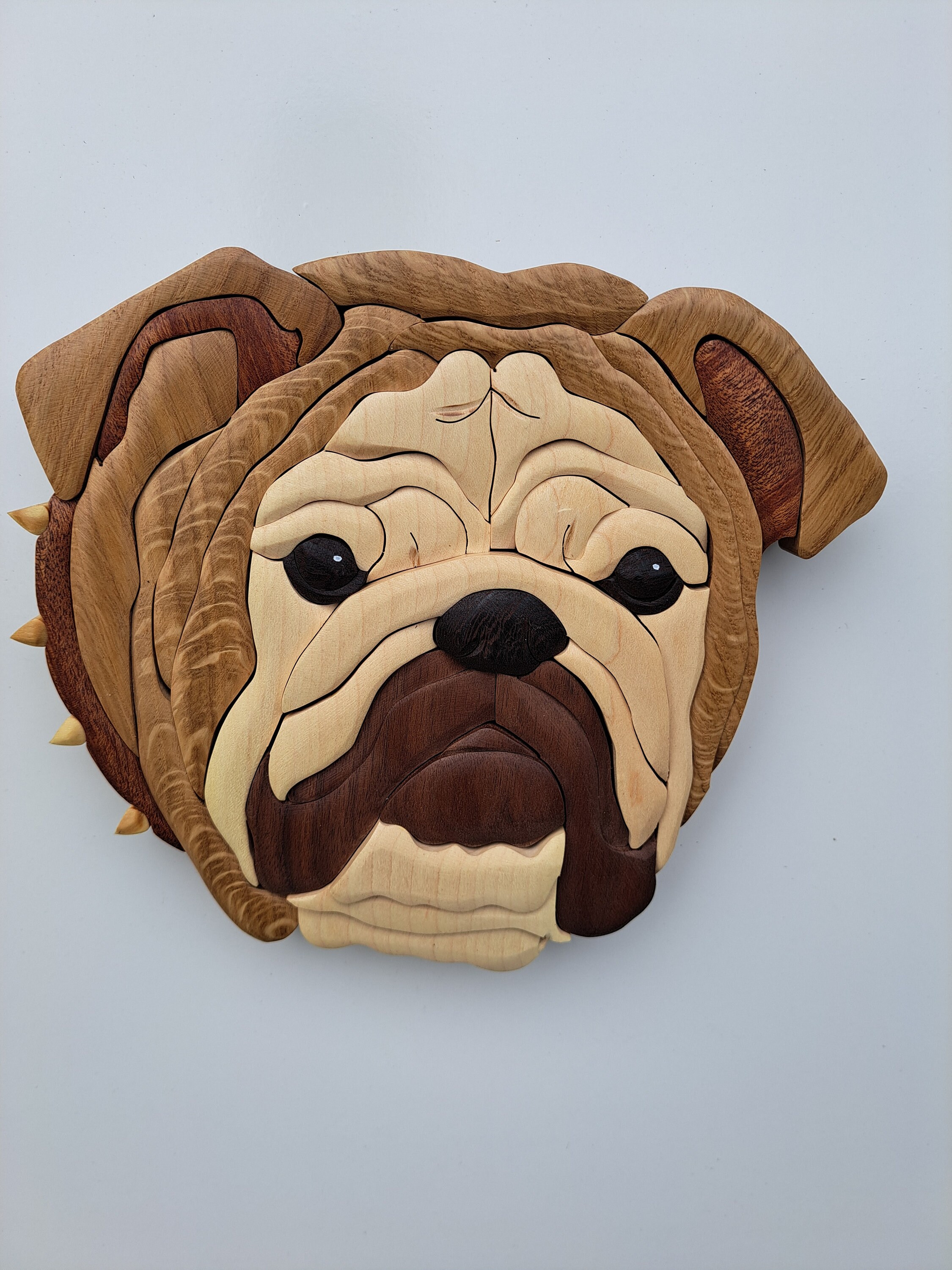 Bulldog Face, Wood Intarsia Wall Hanging Handcrafted Scroll Saw Art - Etsy