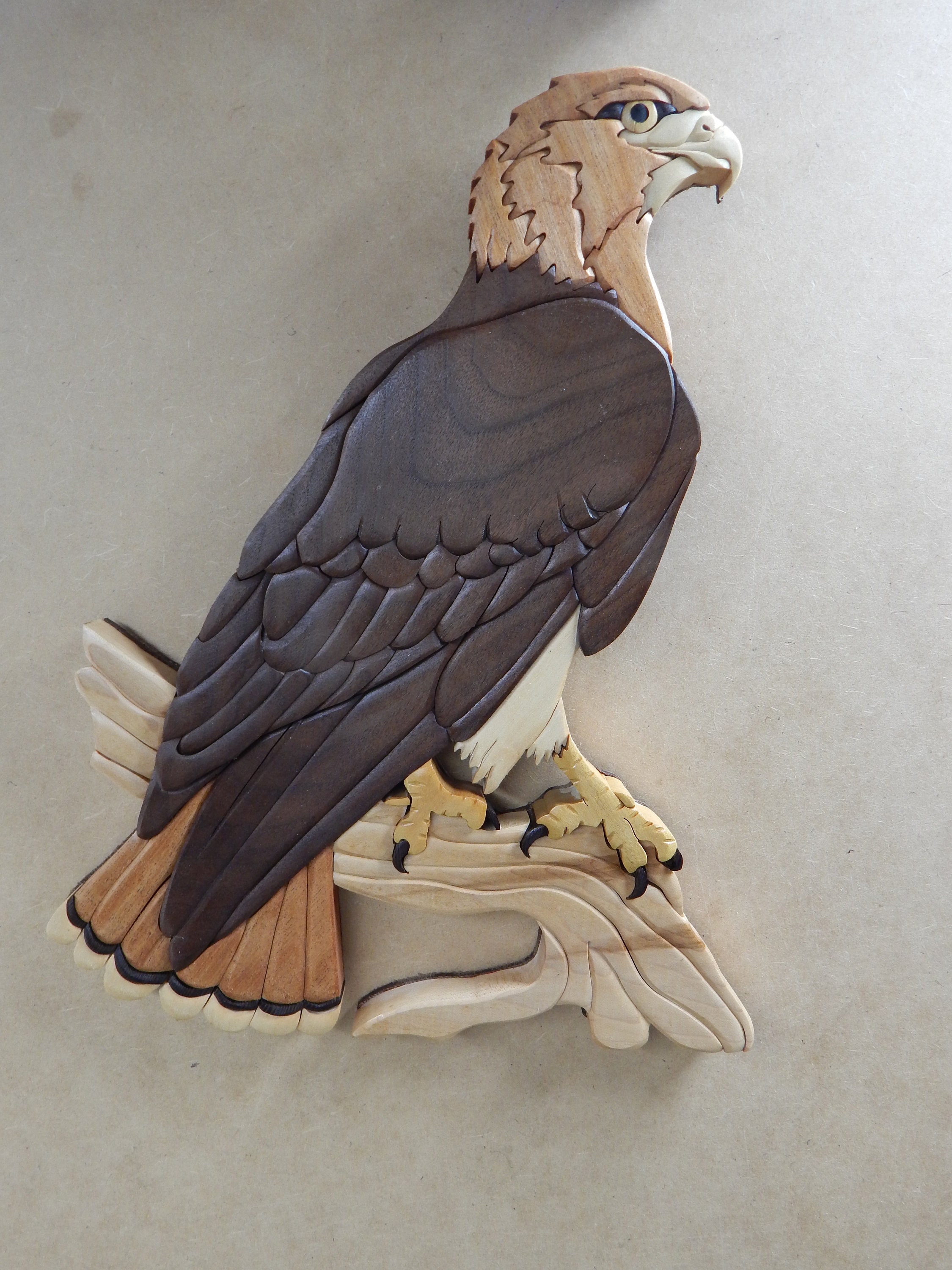 Red-tailed Hawk Wood Intarsia Scroll Saw Art Wall Hanging | Etsy