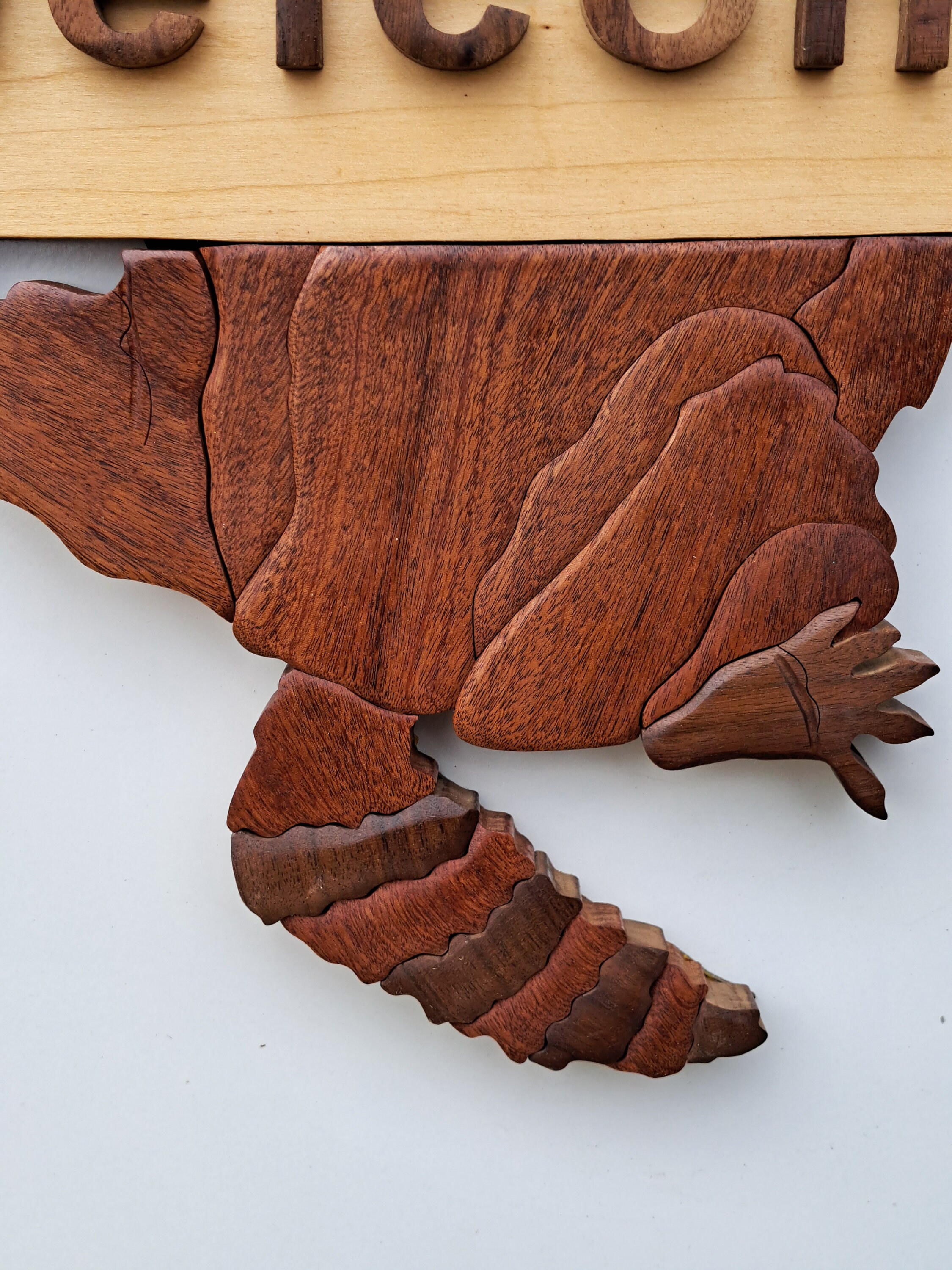 Raccoon Sign, Wood Intarsia Wall Hanging Handcrafted Scroll Saw Art - Etsy