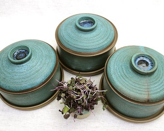 Clay Seed Tray - Etsy
