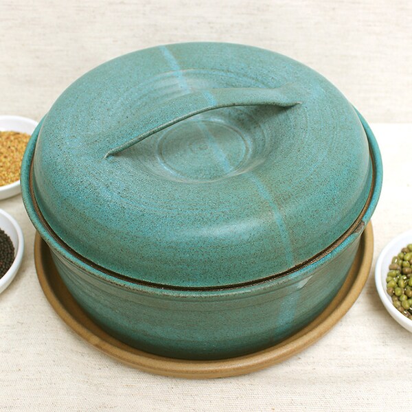 Sprouting Kit - Etsy