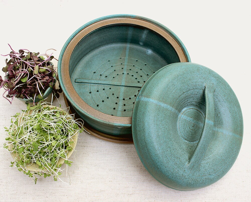 Ceramic Sprouter Sprouting Kit Make Your Own Sprouts - Etsy