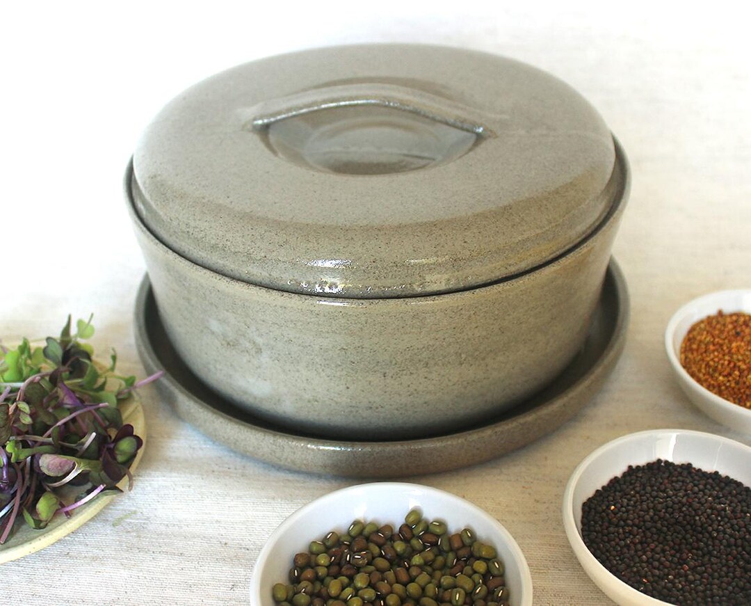 Handmade Ceramic Sprouter Kit: Seed Growing, Rustic Decor (spr-12-2) - Etsy
