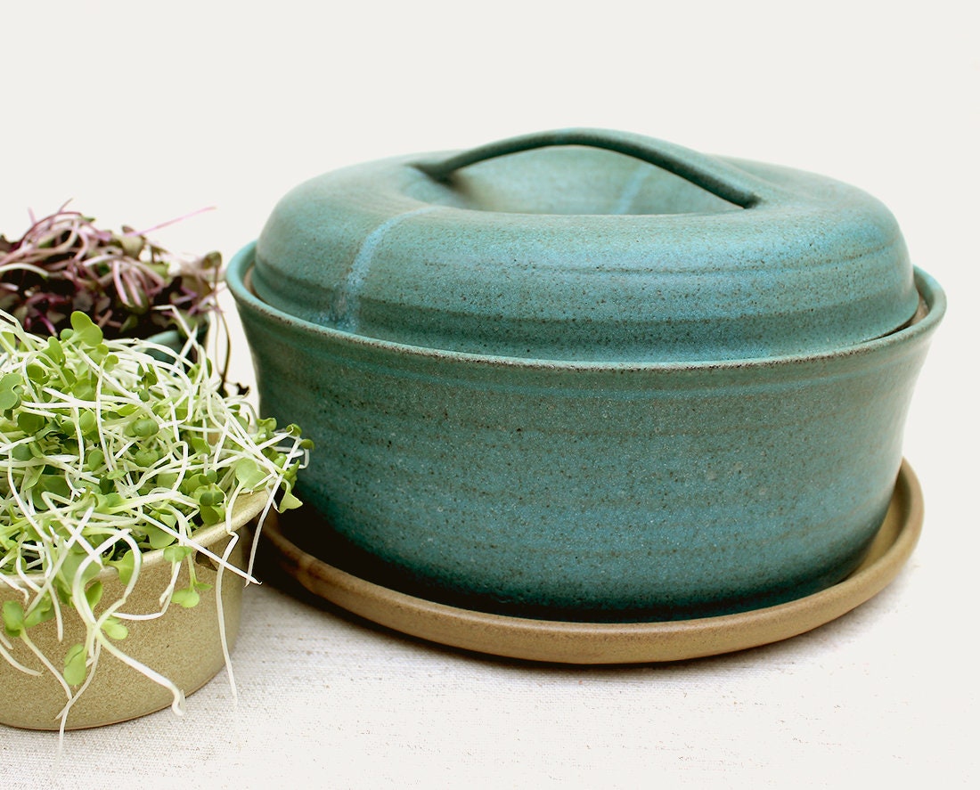 Ceramic Sprouter Sprouting Kit Make Your Own Sprouts - Etsy